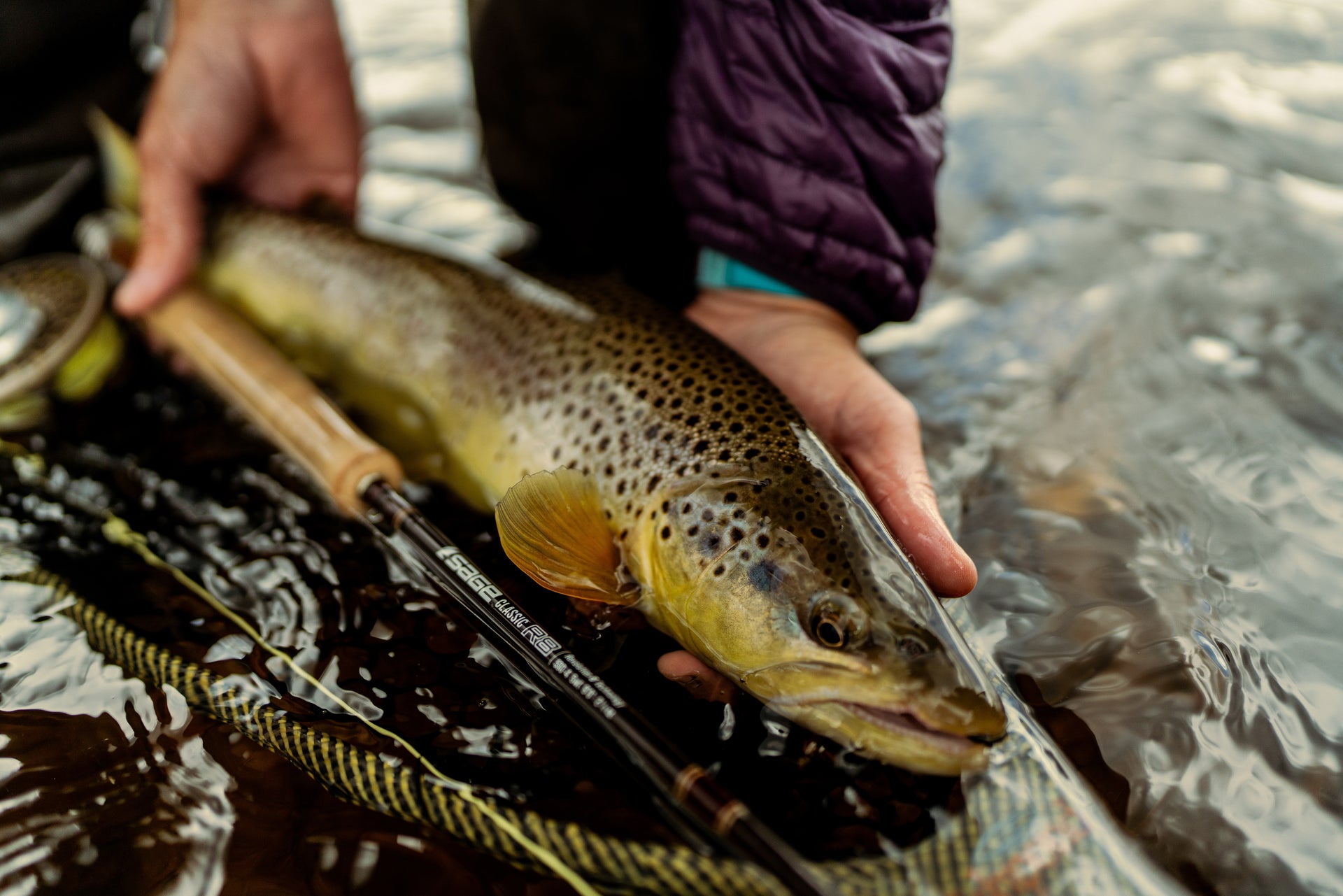 Bear's Den Fly Fishing Co.