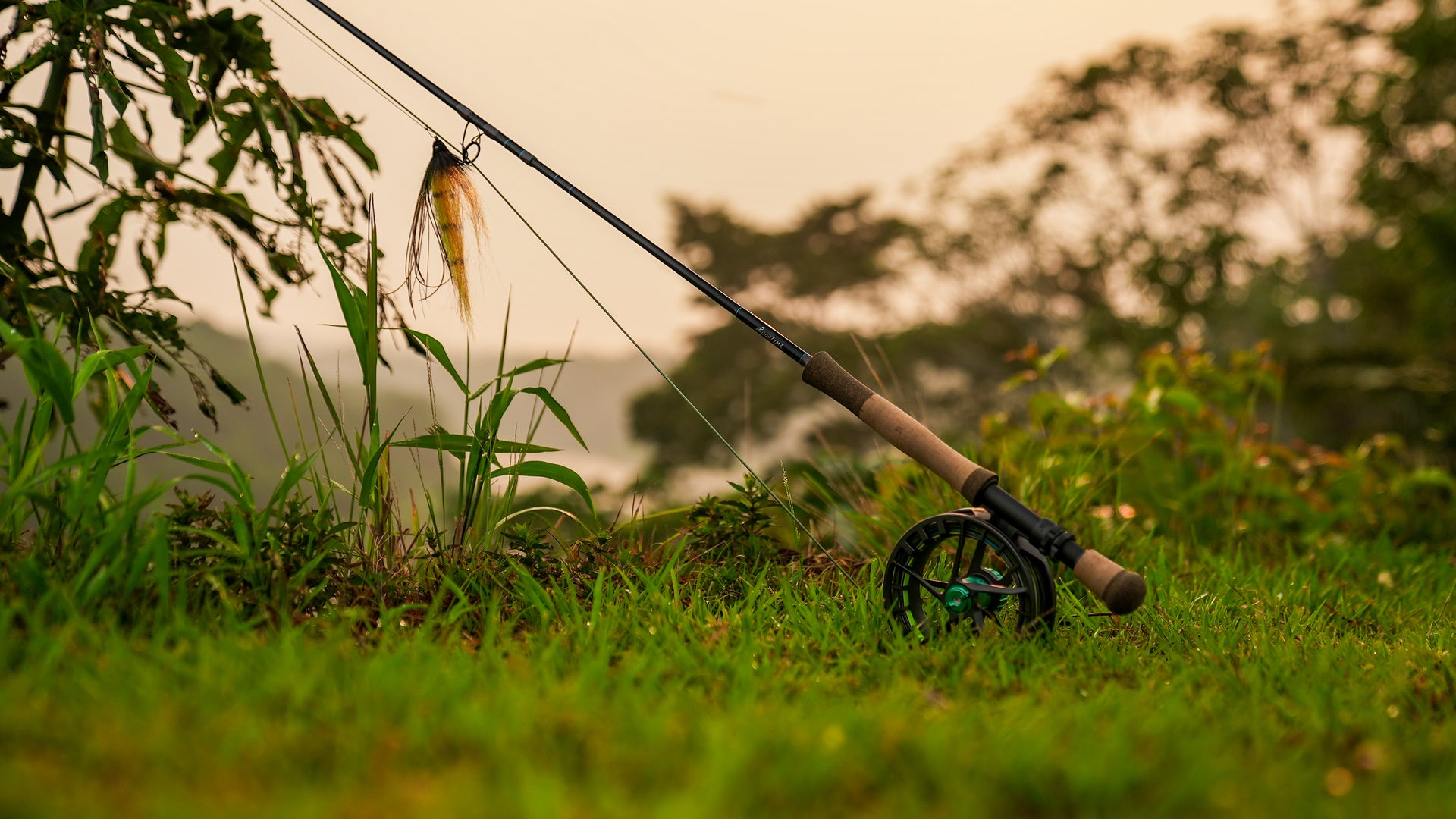 Bear's Den Fly Fishing Co.