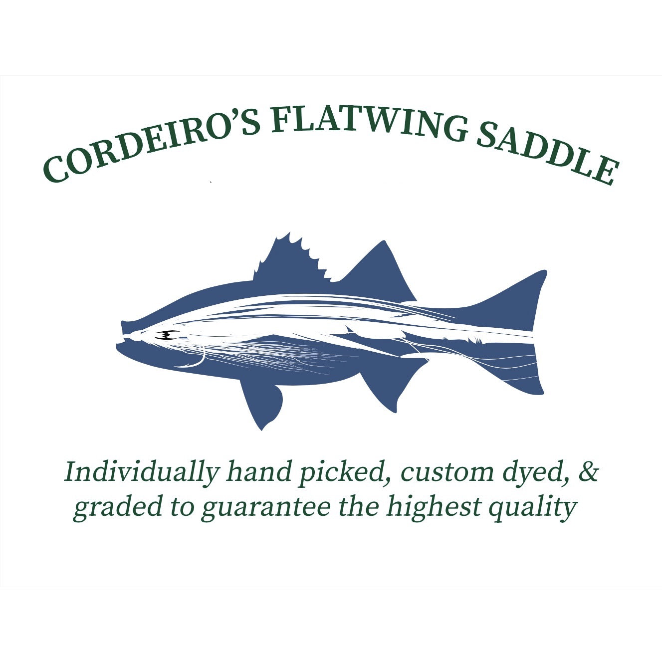 Ewing Cordeiro's Flatwing Saddle – Bear's Den Fly Fishing Co.