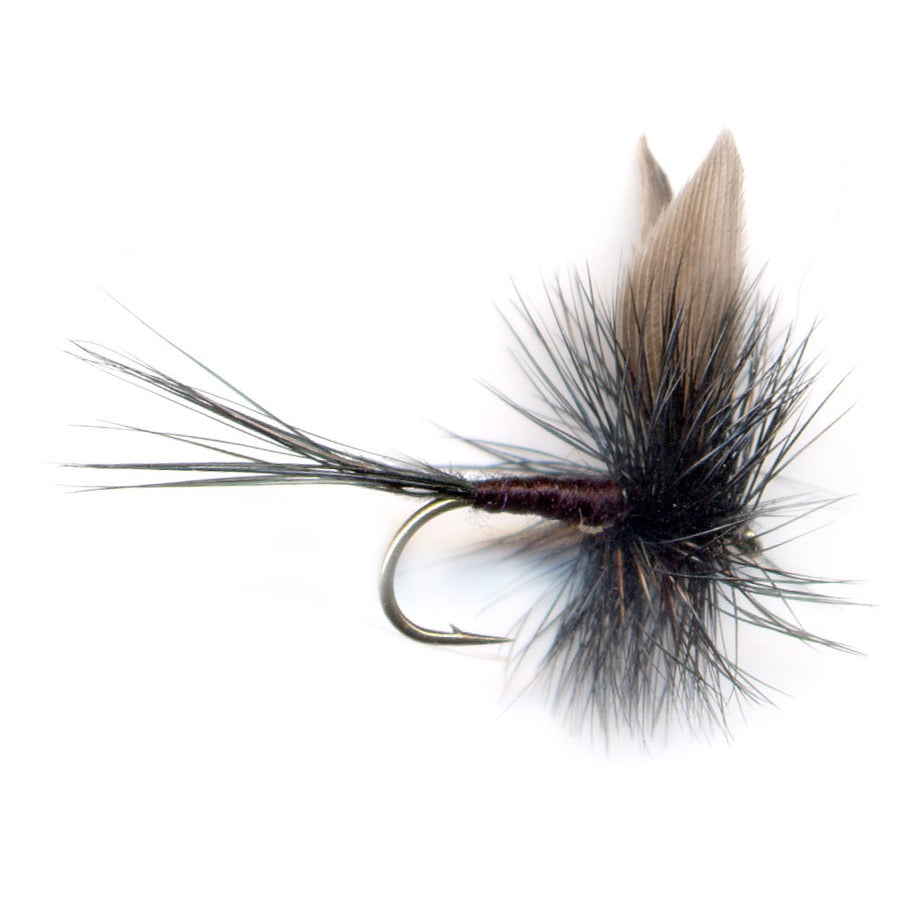 PFG Black Gnat – Bear's Den Fly Fishing Co.